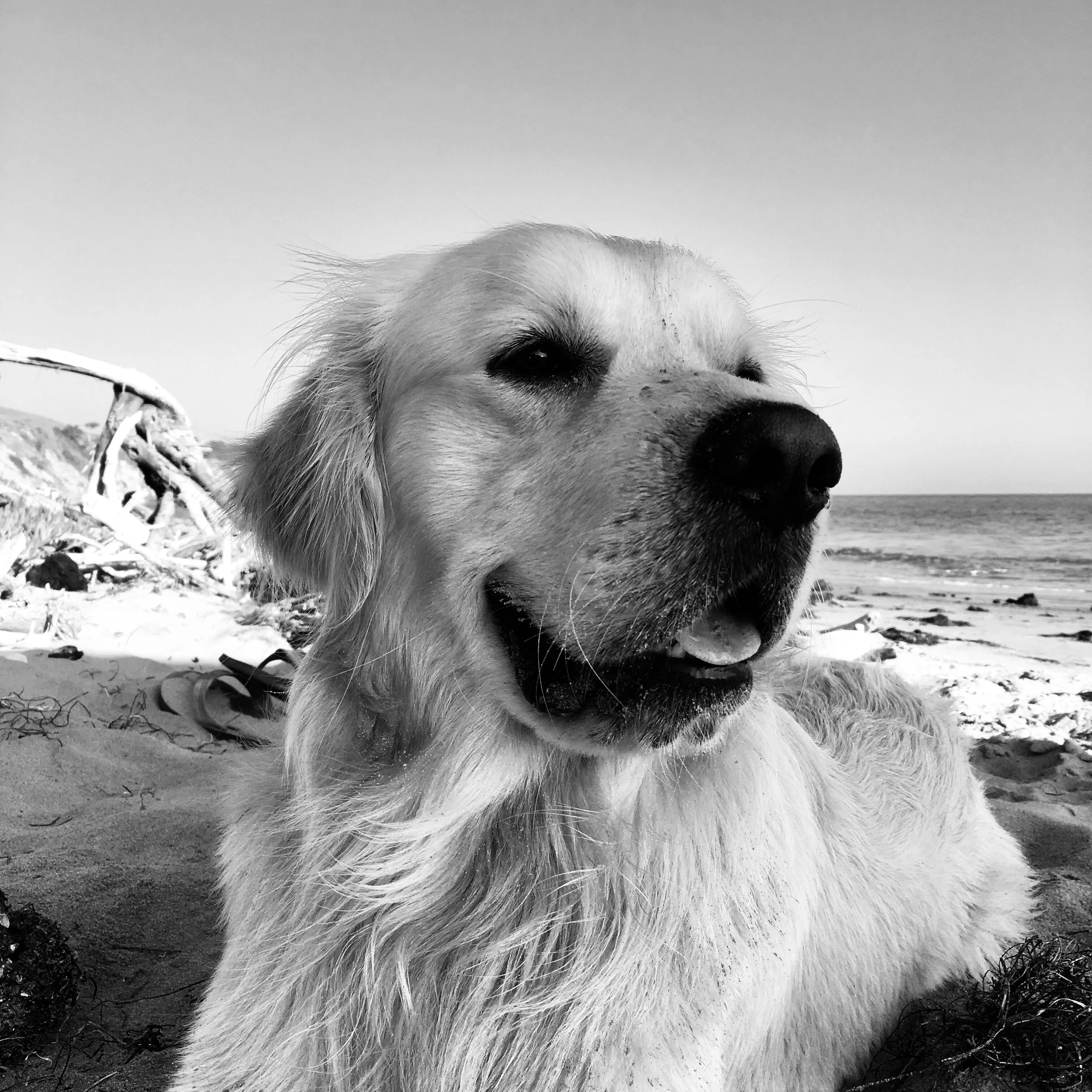 MEET OUR TEAM — Clever Punch Co.