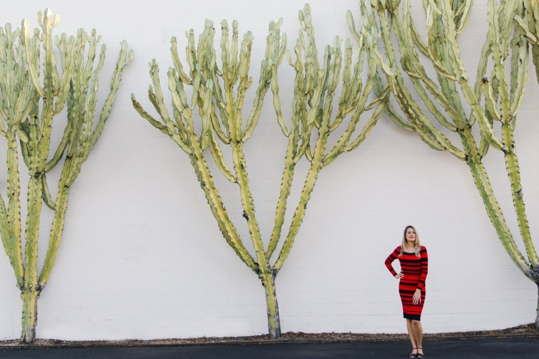 Juliana Lisheski — Clever Punch Co.