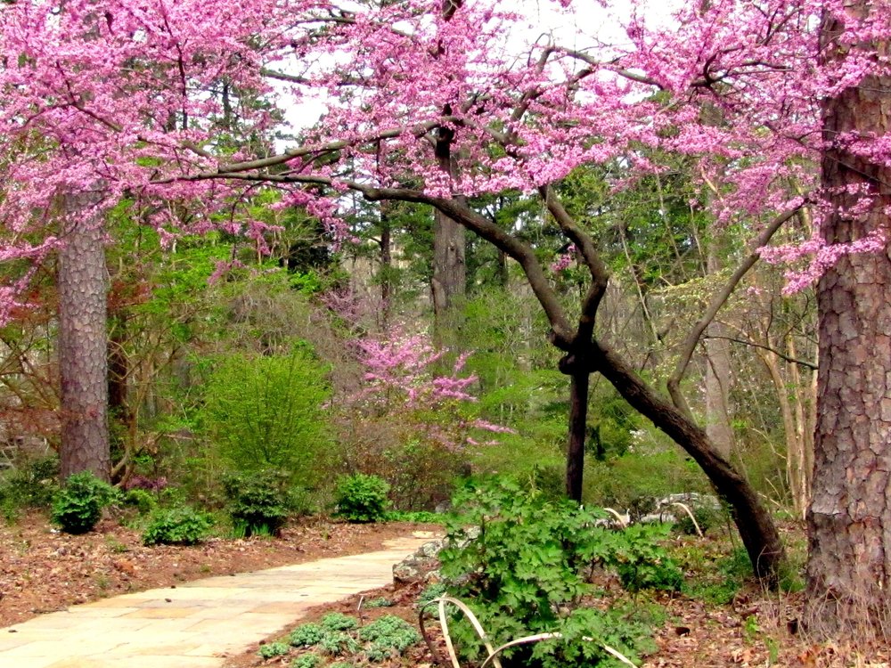 THE AUTHENTIC LANE—Exploring Our Relationships. Discovering Ourselves.