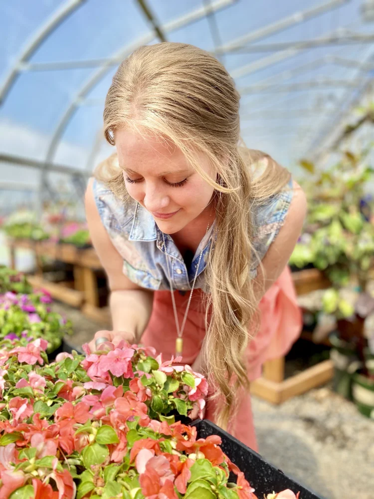 Free Expression Studio