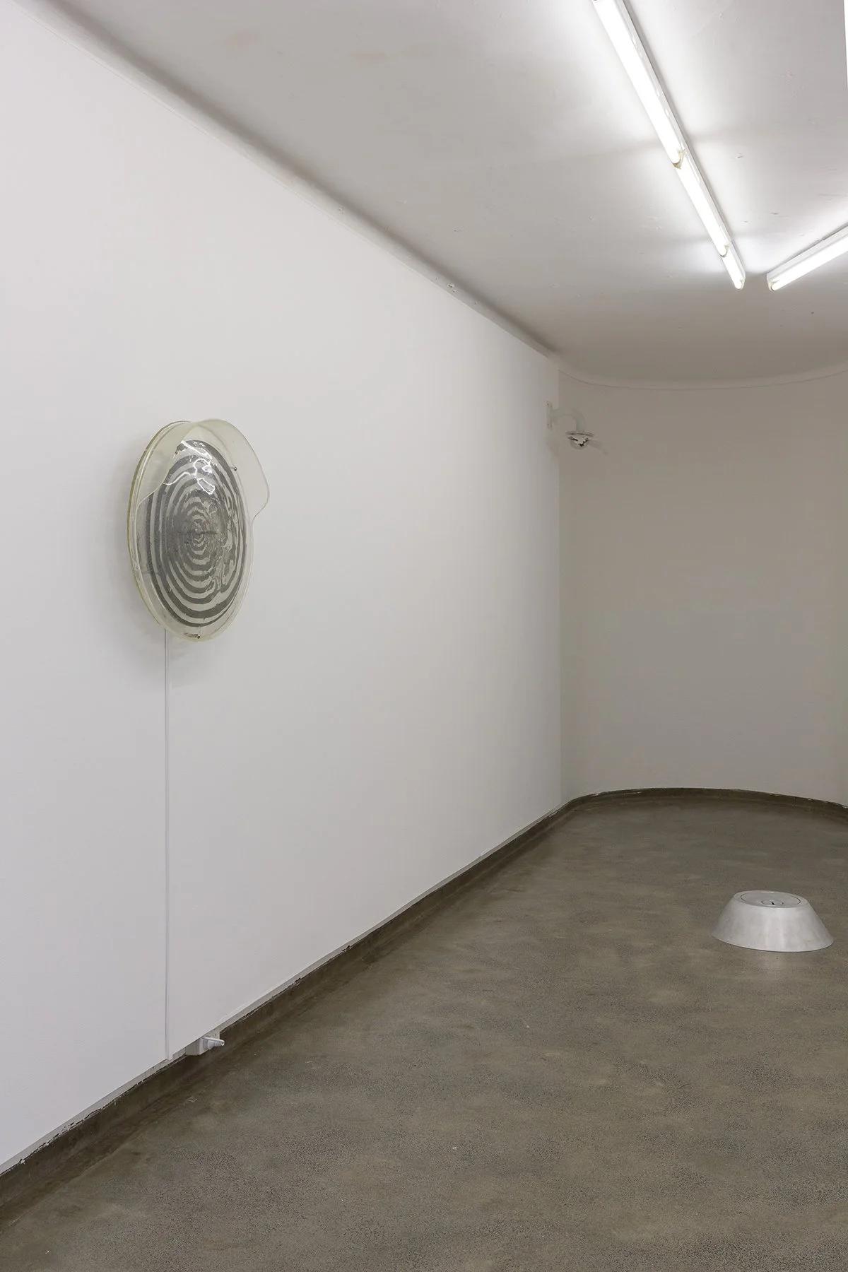 Shaye Dương, Telesm — firstdraft