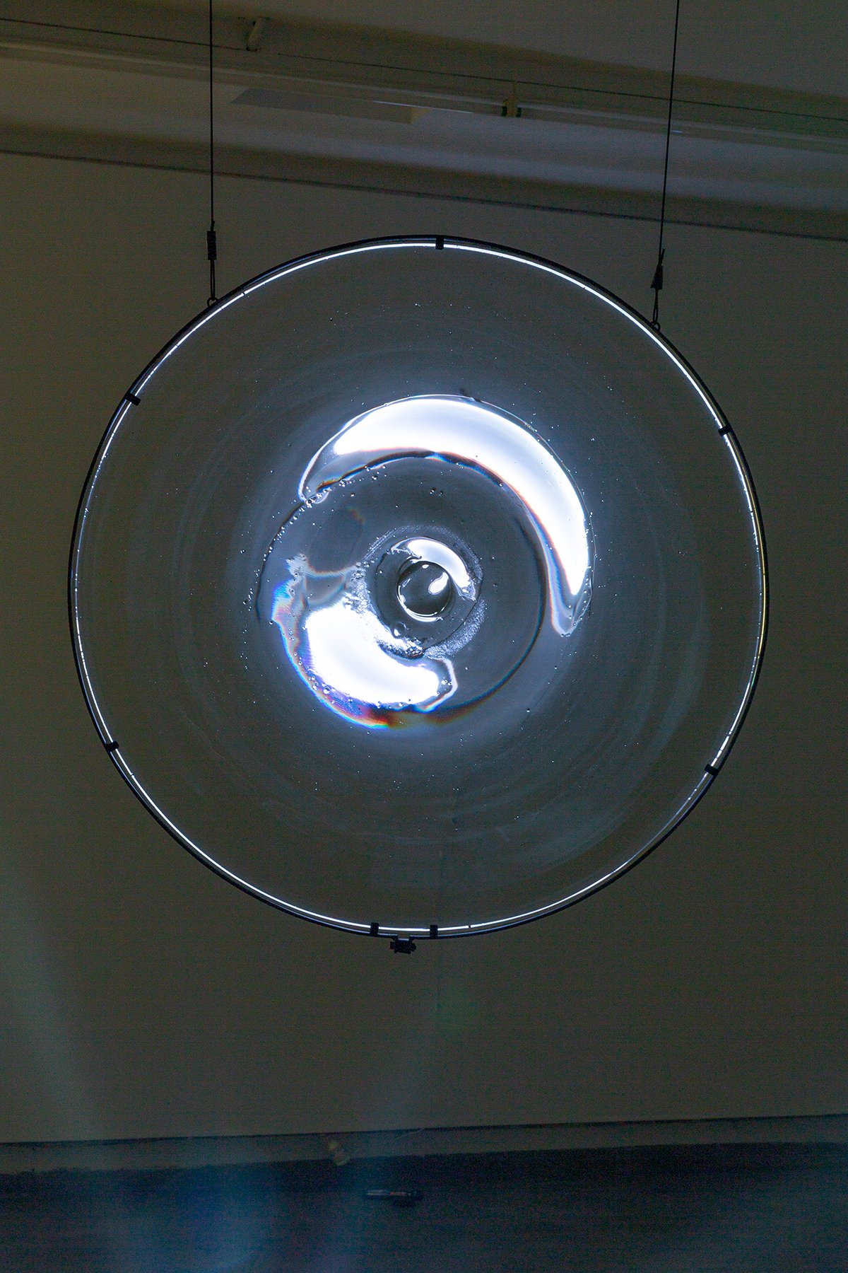 Year Without a Sun, Anna May Kirk — firstdraft