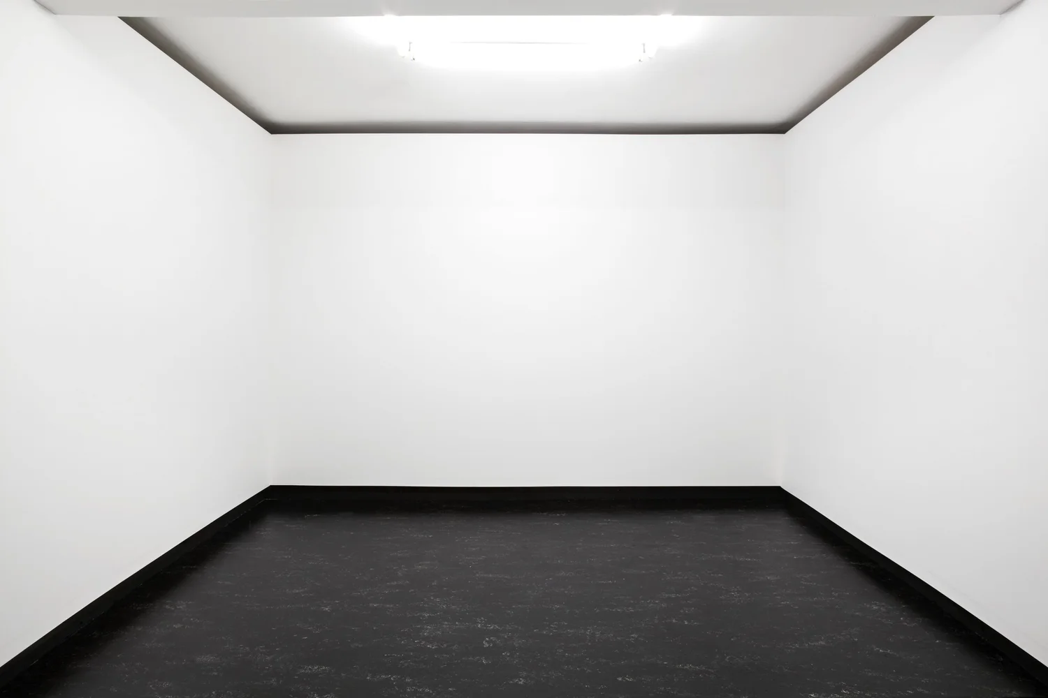 Our Spaces — firstdraft