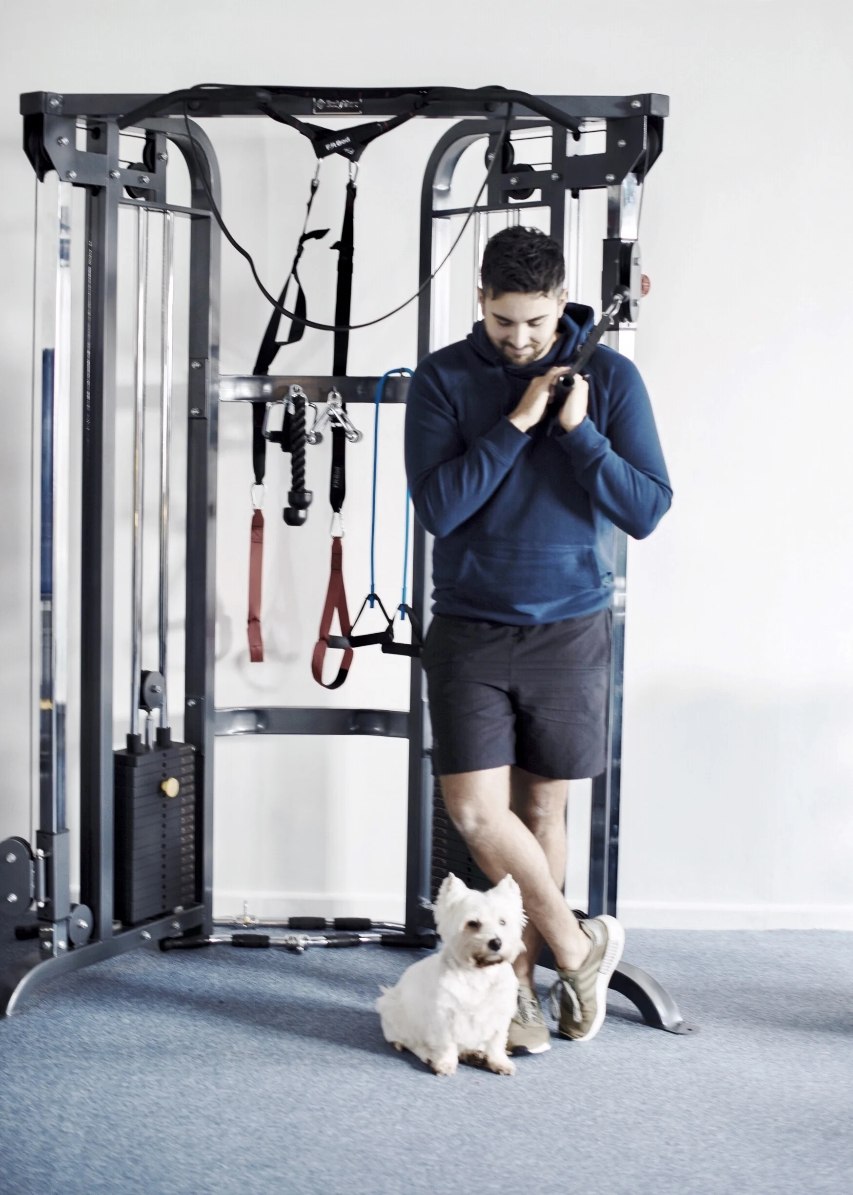The Wellness Coach