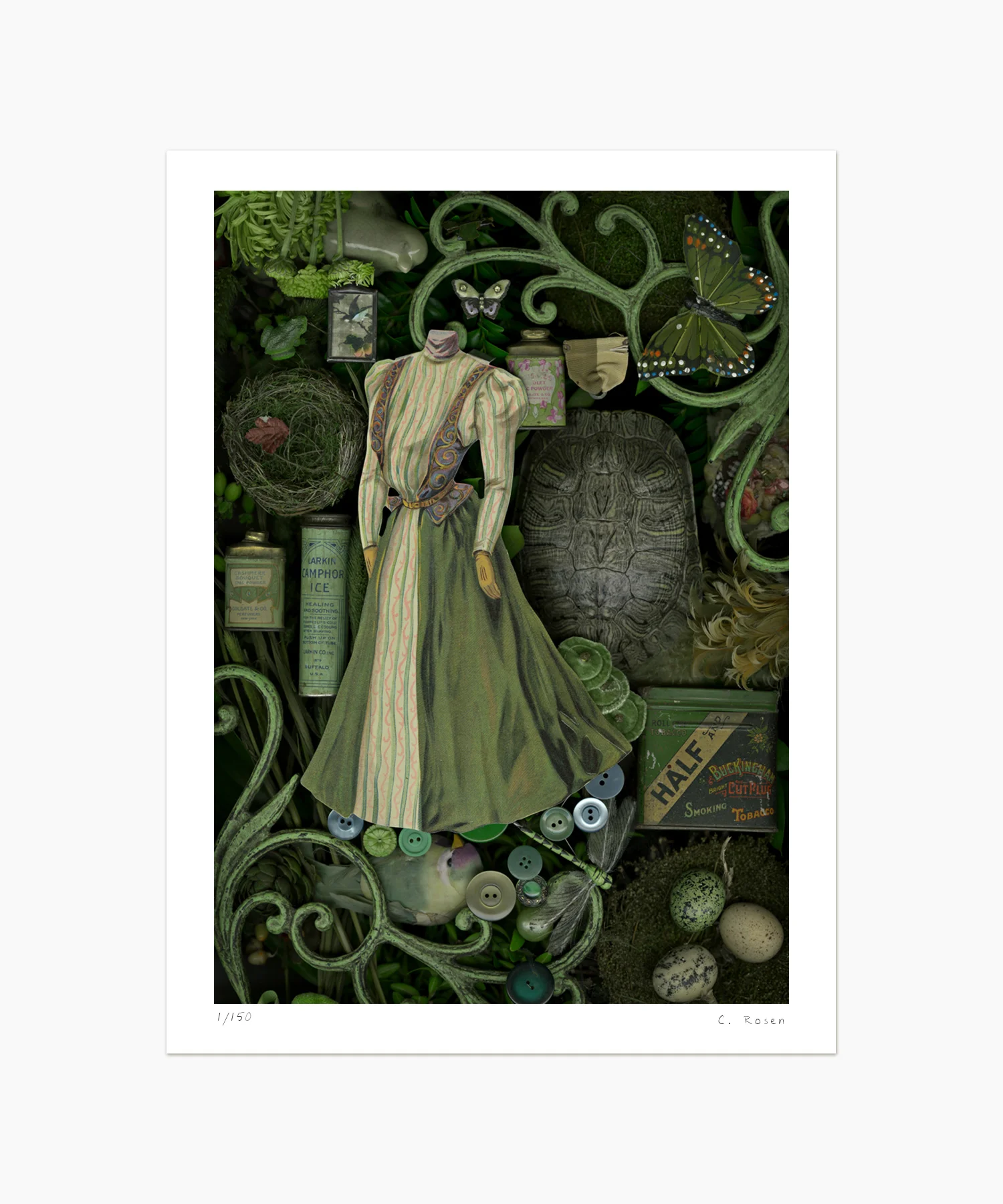 All Limited Edition Prints — Claire Rosen