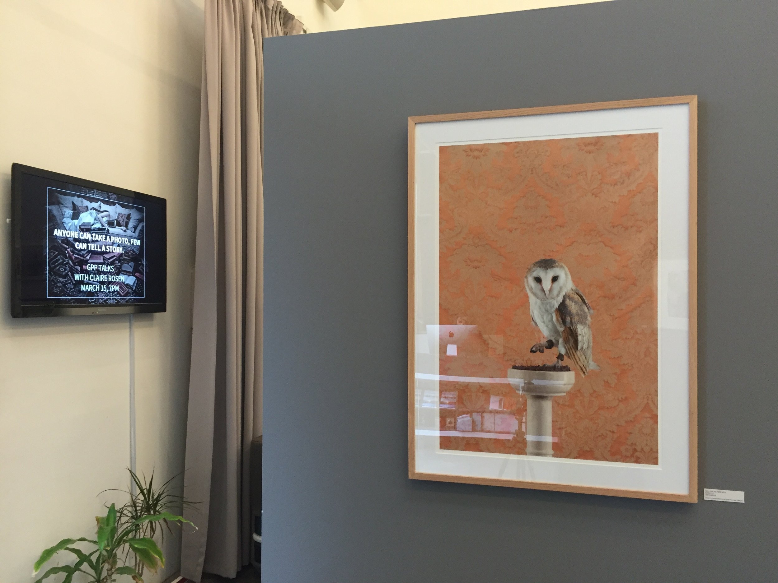 Biography — Claire Rosen