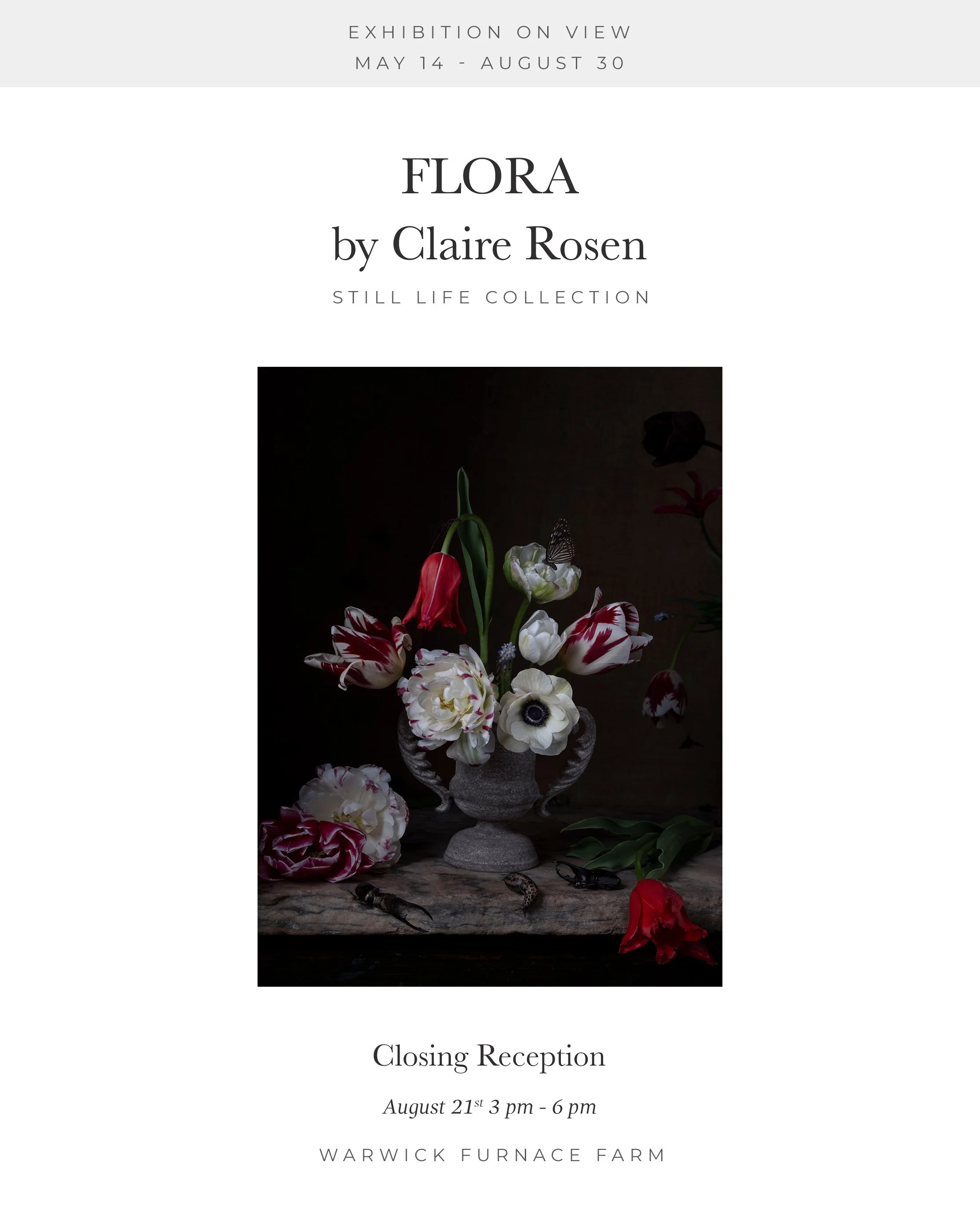 Exhibits & Installations — Claire Rosen