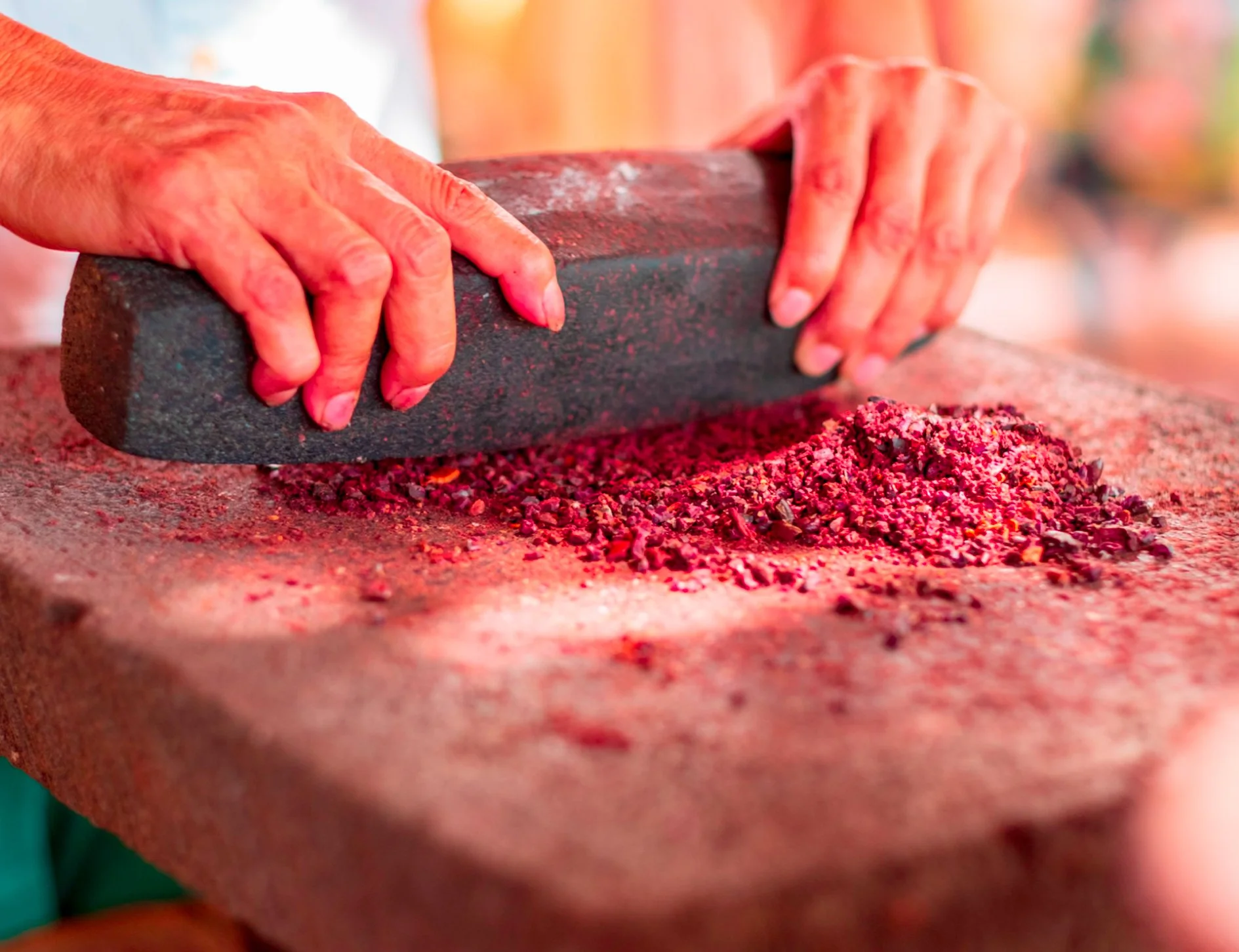 Bucerias Tours — Human Connections