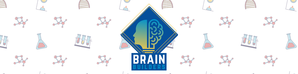 Brain Builders — Rural Virtual Academy Consortium
