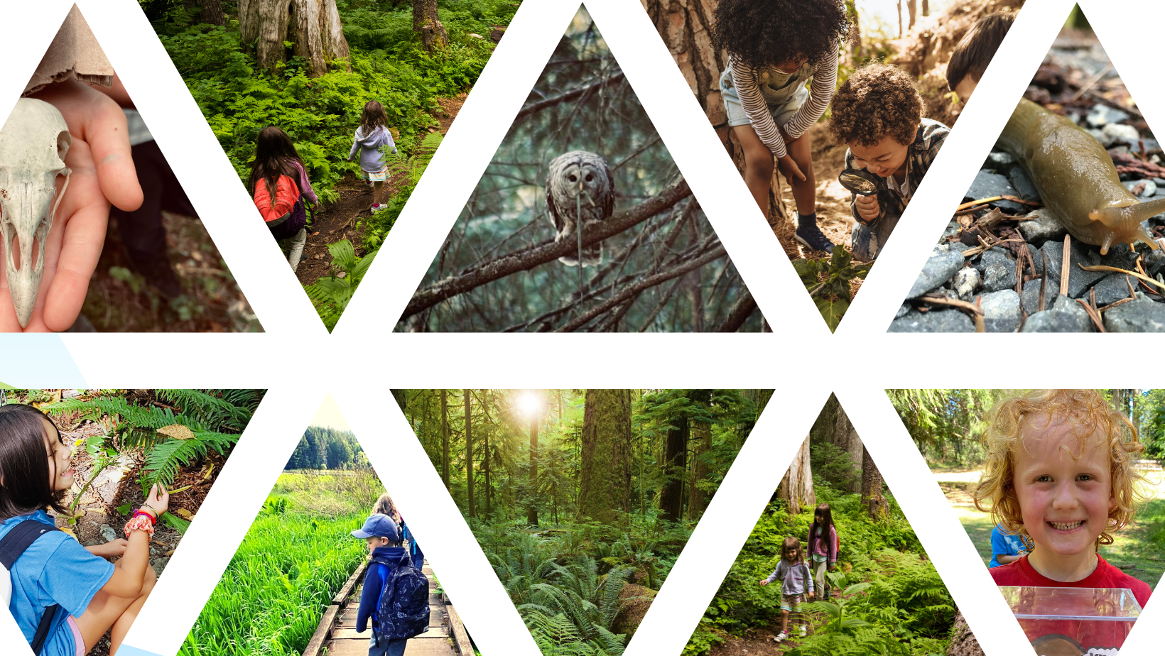 Field Trips — Ecoforestry Institute Society