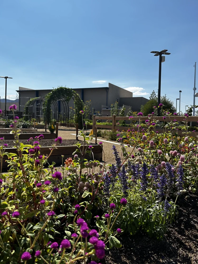 Garden Farms — Community Gardens