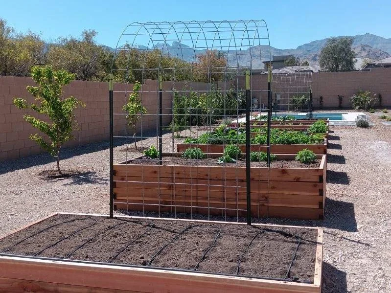 Garden Farms — Backyard Gardens