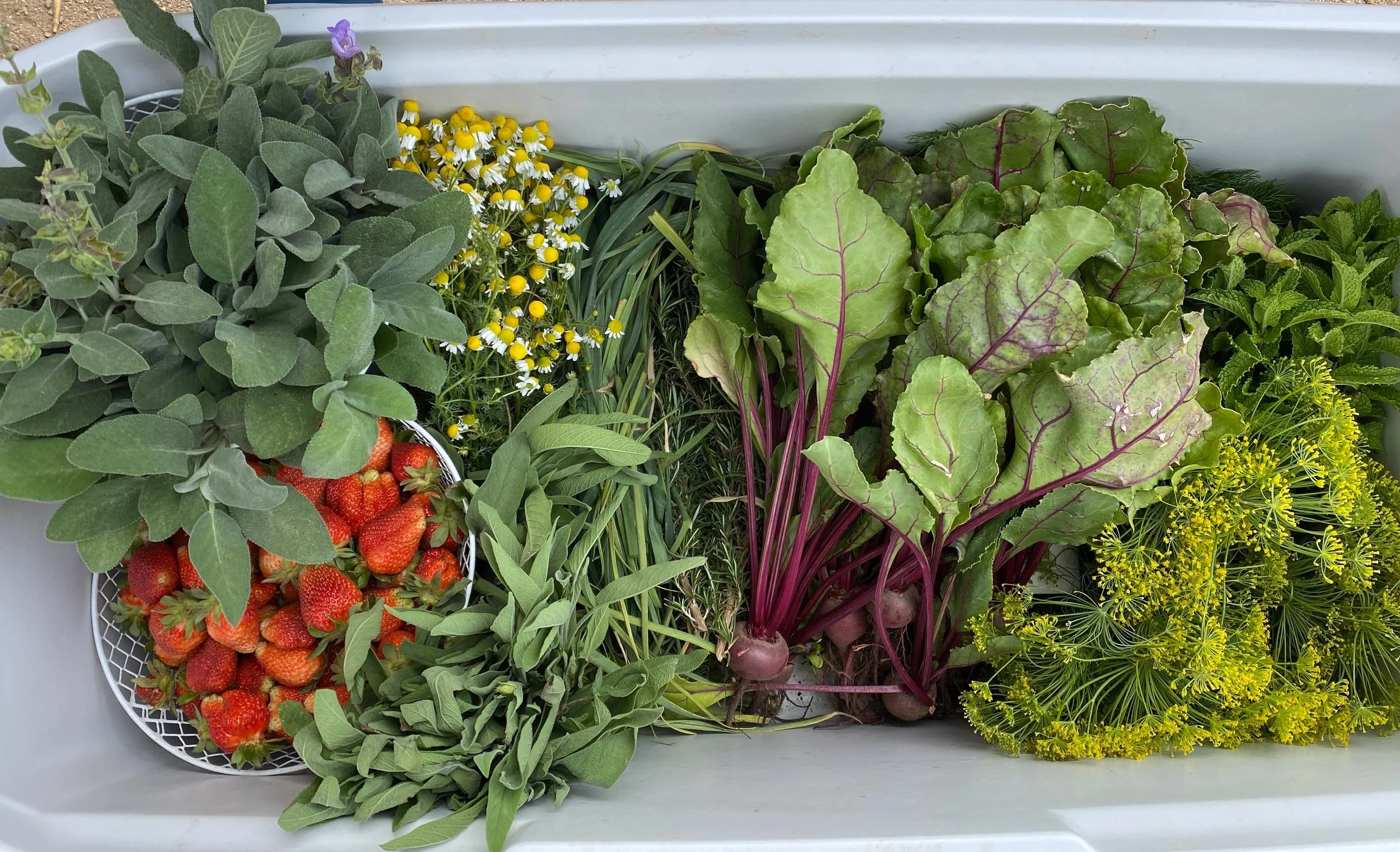 Garden Farms — Calendar of Events