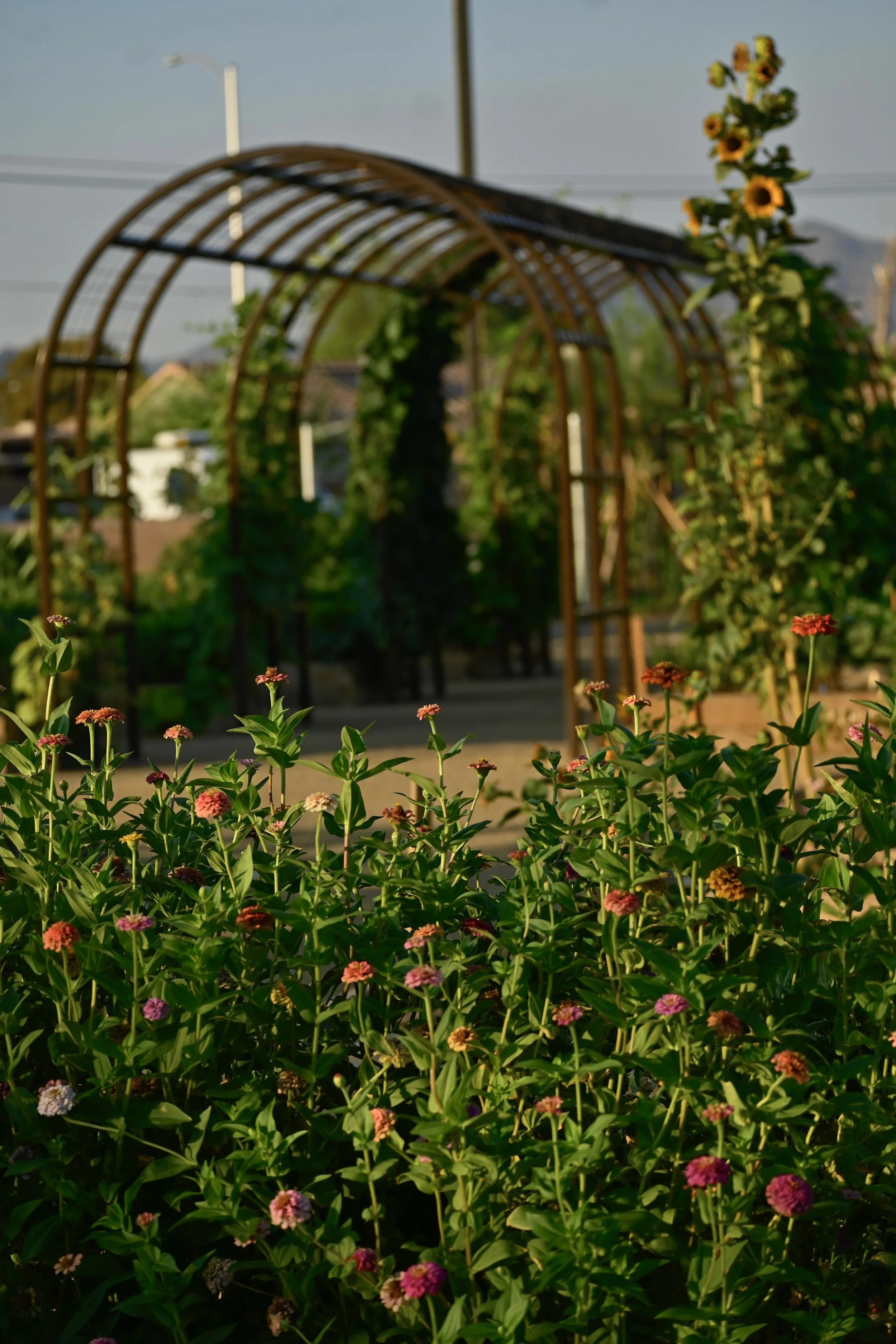 Garden Farms — Community Gardens