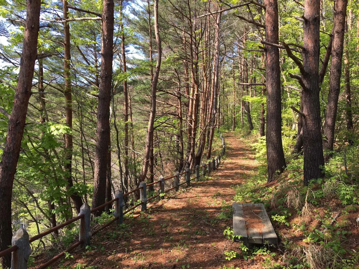 Fudai to Tanohata (Kitayamazaki Cliffs - 2 Days) — Michinoku Coastal Trail