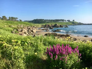 Section: Tanesashi Coast — Michinoku Coastal Trail