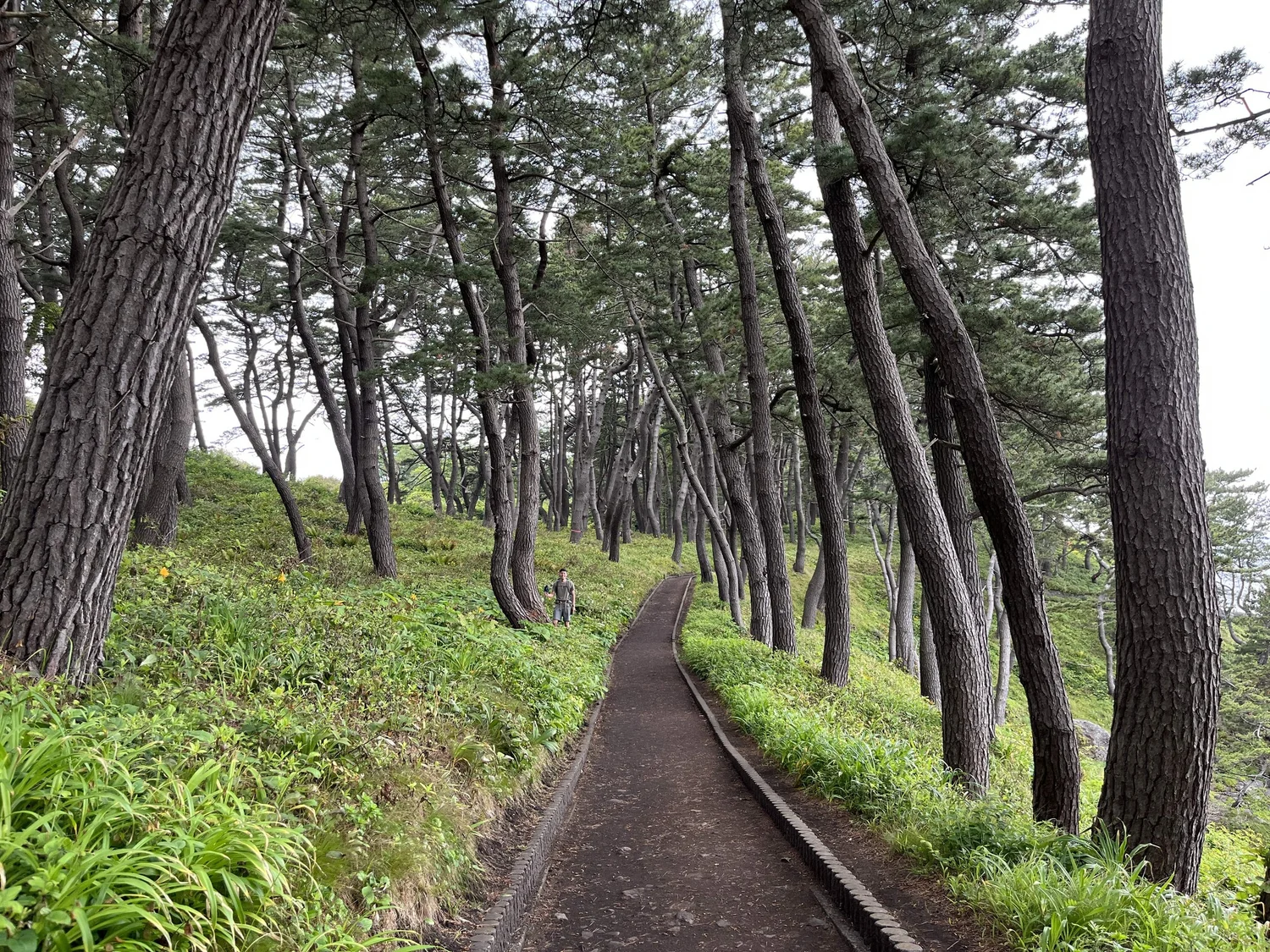 Section: Tanesashi Coast — Michinoku Coastal Trail