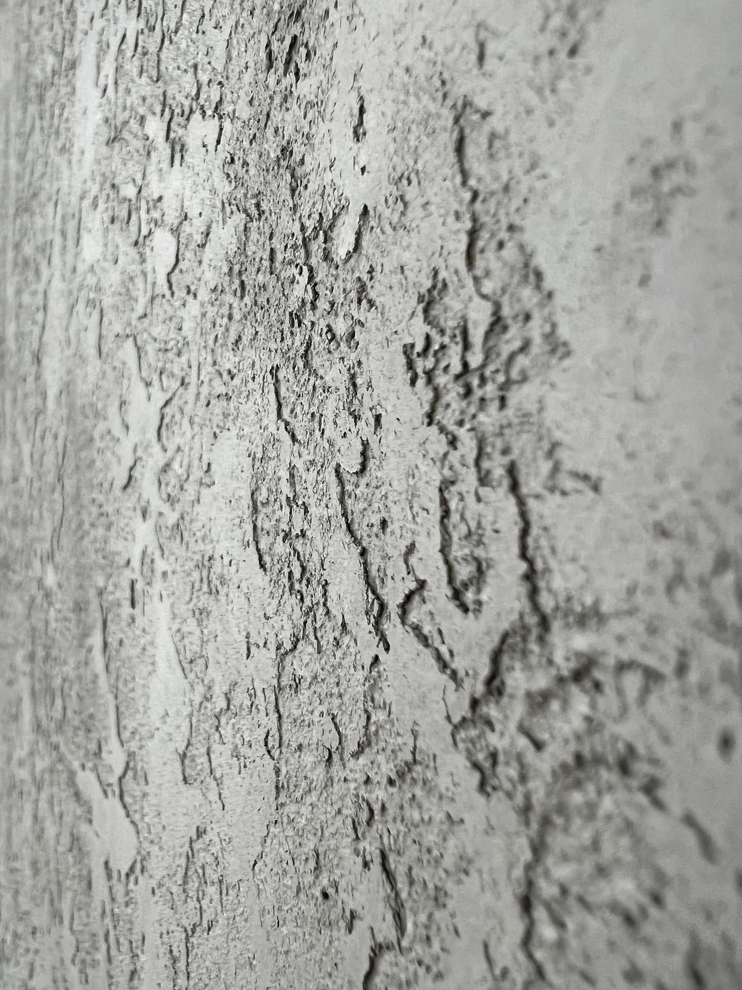 Unique finishes — FABULOUS FINISHES