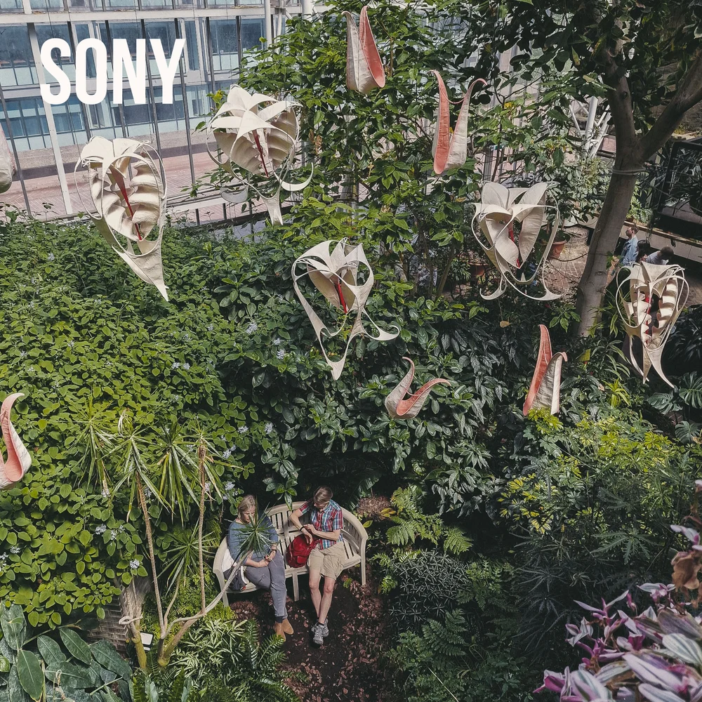 Camera Film Simulation Profiles | Fujifilm | Sony | Ricoh GRIII — SIMON ...