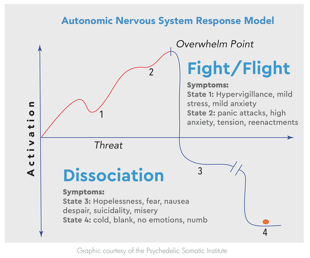 Psychedelic Somatic Interactional Psychotherapy (PSIP) — ILLUMINATE ...