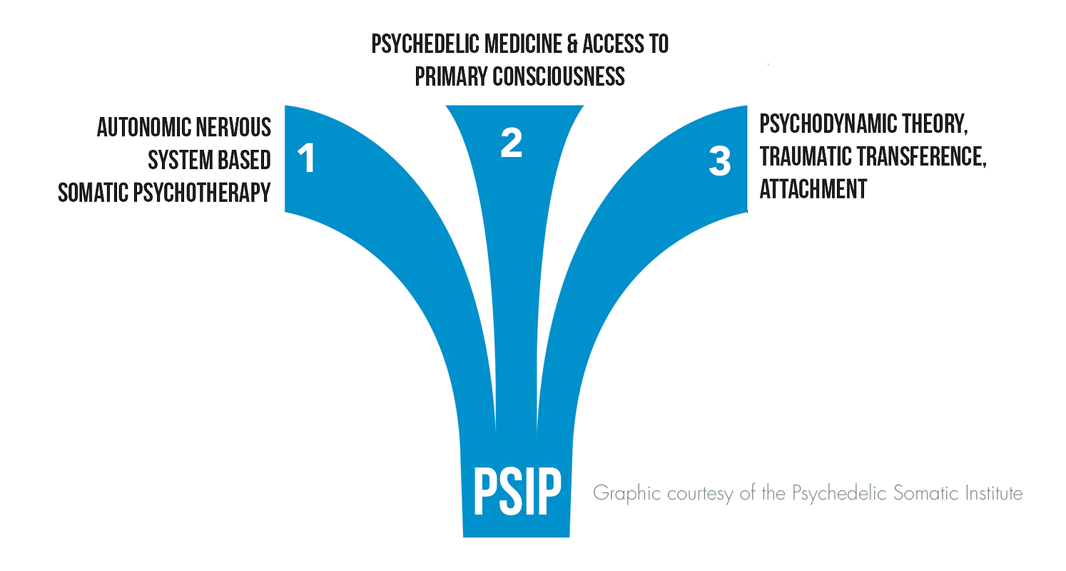 Psychedelic Somatic Interactional Psychotherapy (PSIP) — ILLUMINATE ...