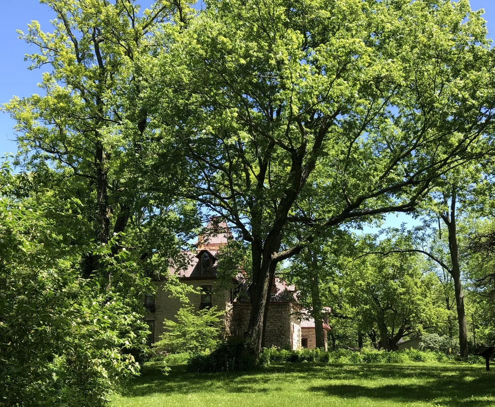 Events — Piatt Castle