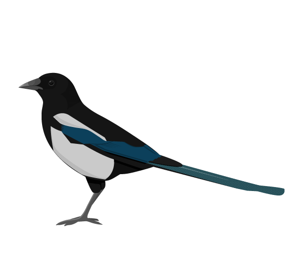 Magpie | Human Safety Systems