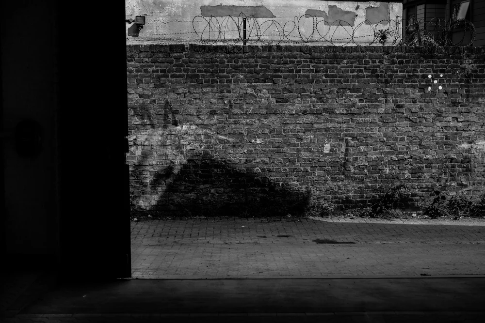 The Mild One — How Boxcar is Finding Headspace in London — Pellicle