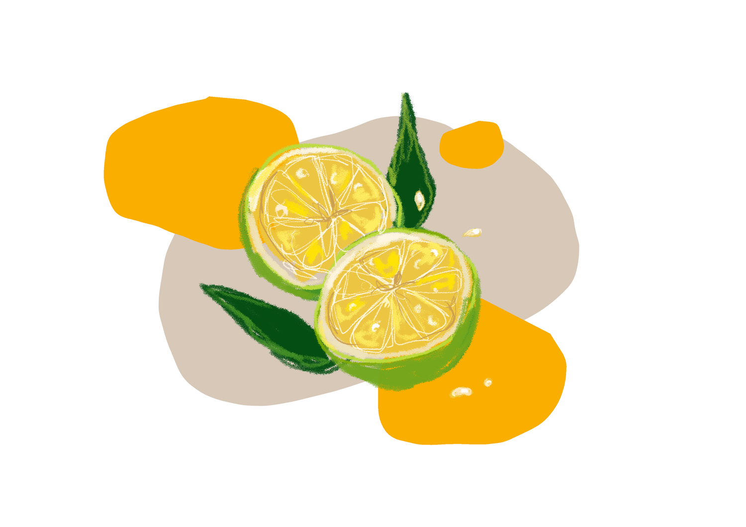 The Fast & The Curious — Discovering the Wider World of Citrus — Pellicle