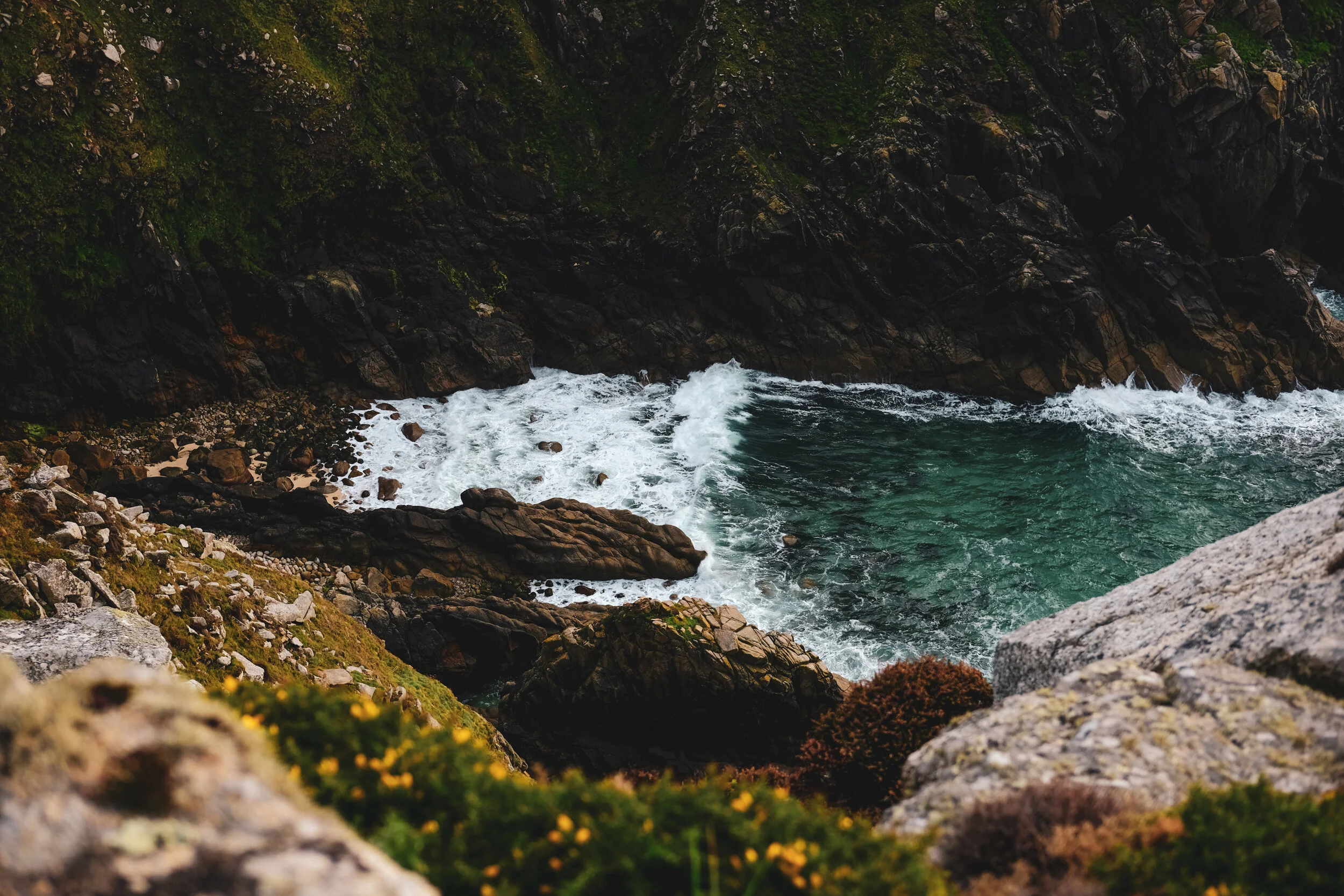 Walking is Still Honest — Pellicle