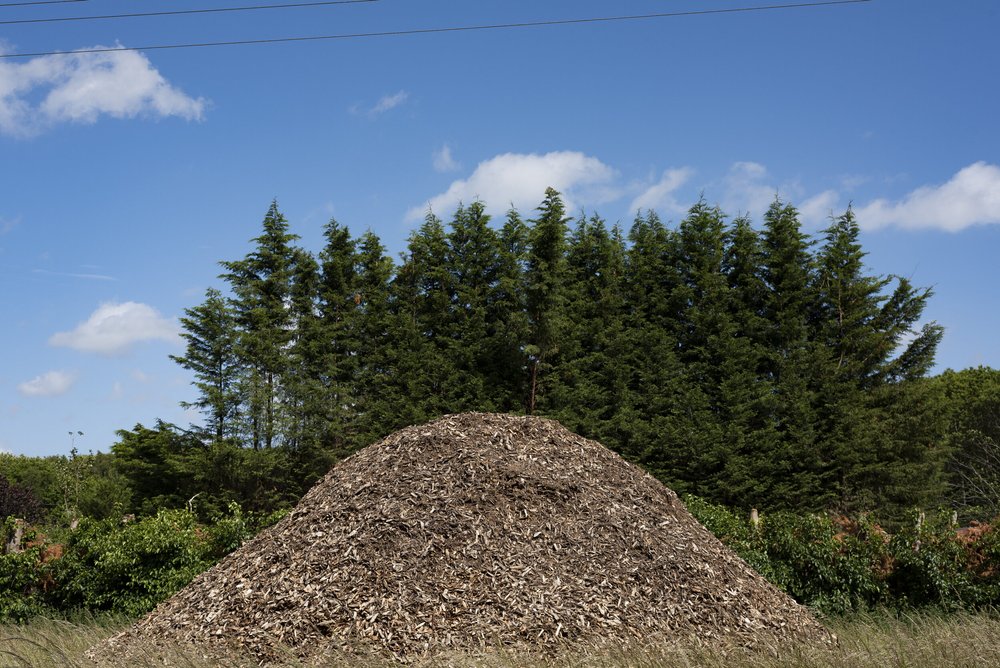 Nothing But Flowers — All Change At Loddington Farm, Kent — Pellicle
