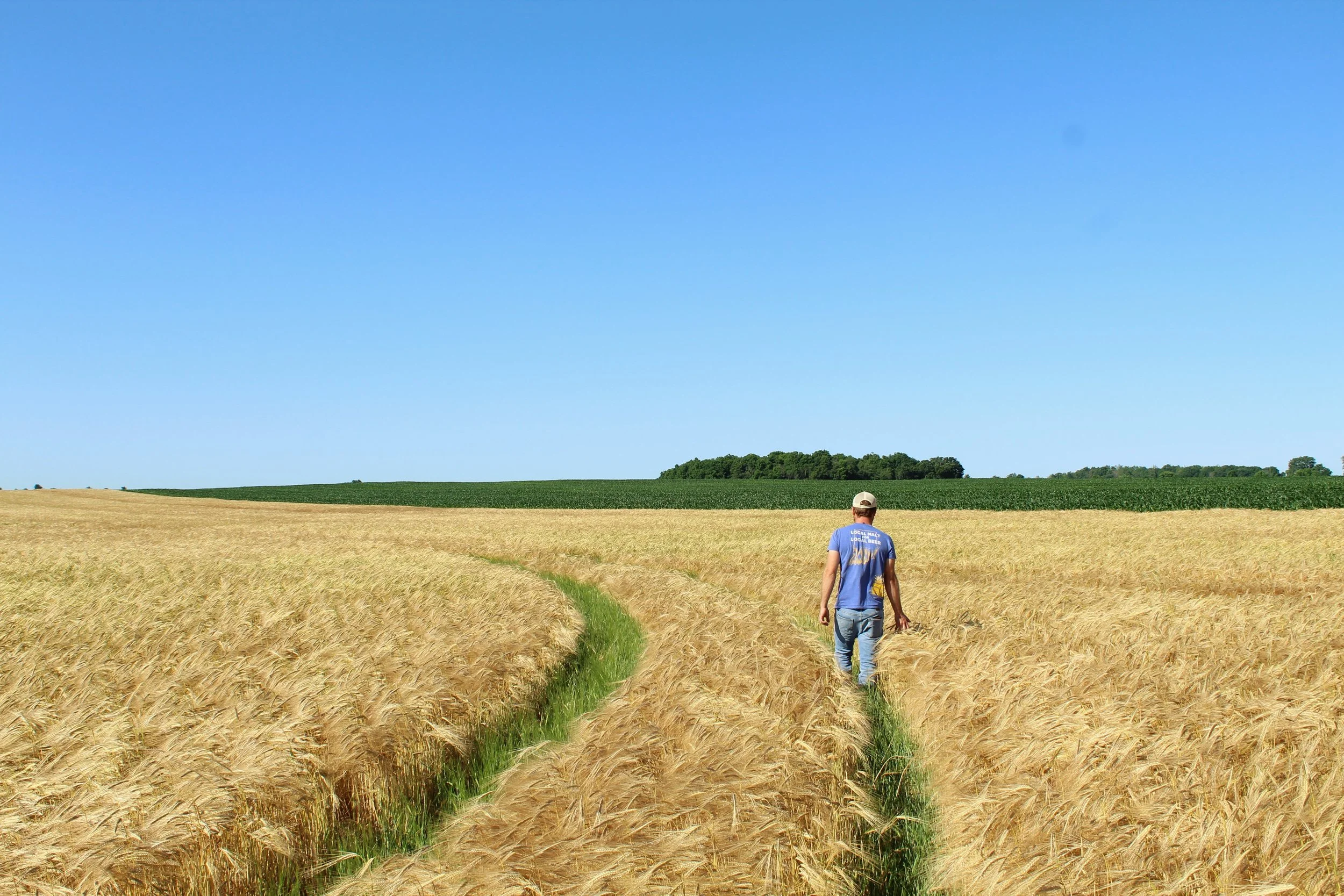 After the Harvest — Tracking a Beer from Grain to Glass at Seedstock ...