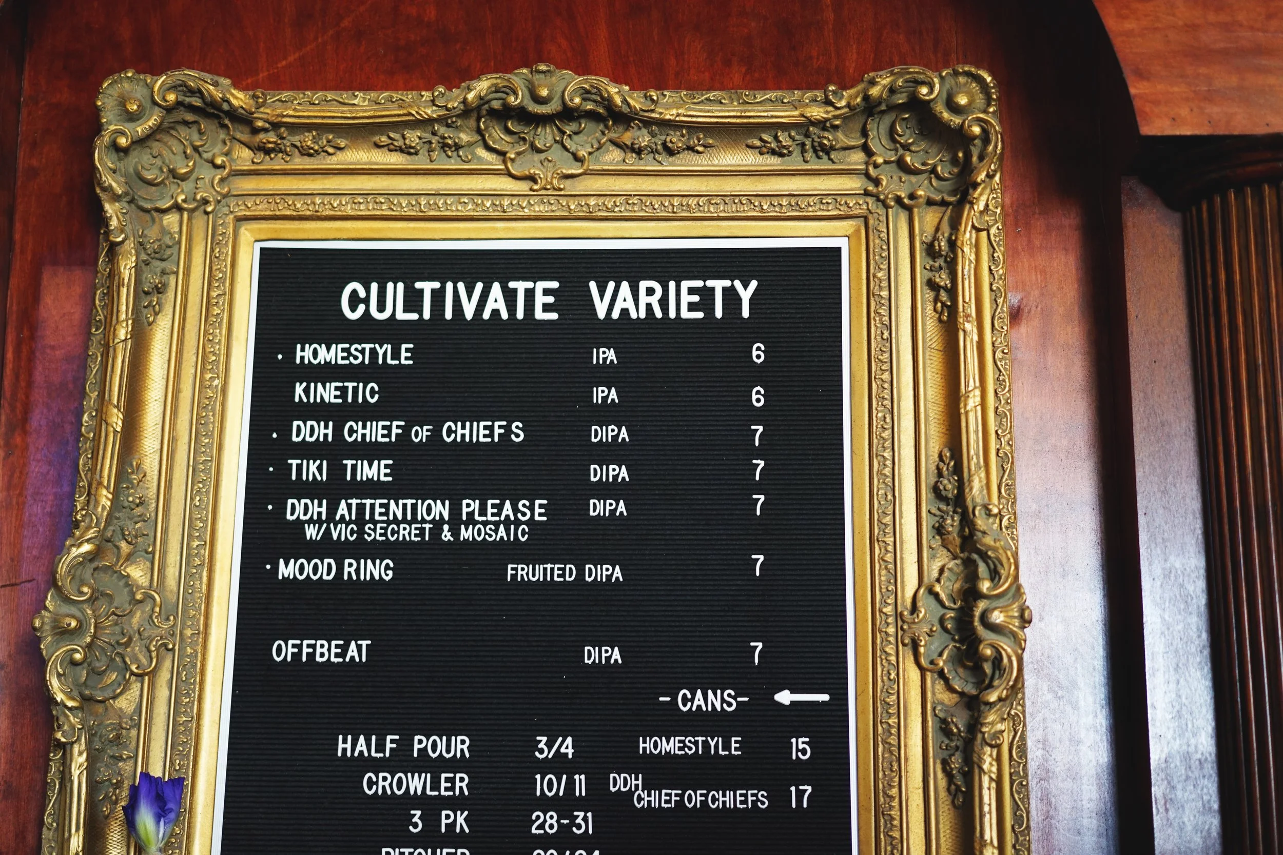 The Essential Guide to IPA — Pellicle