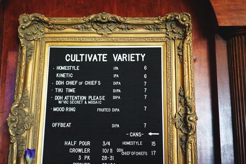 The Essential Guide to IPA — Pellicle