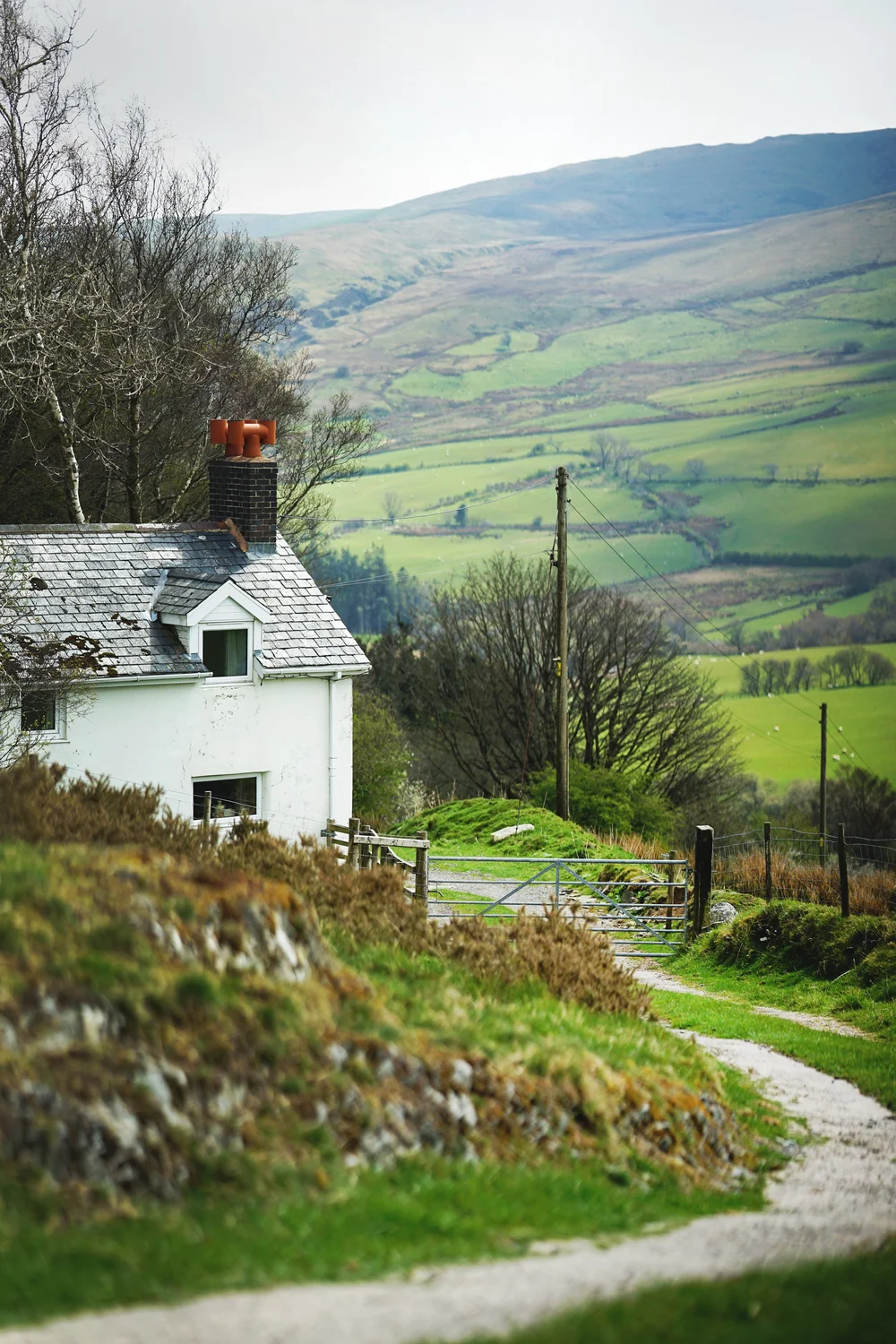 Rings Around The World — Geipel Brewing in Corwen, Wales — Pellicle