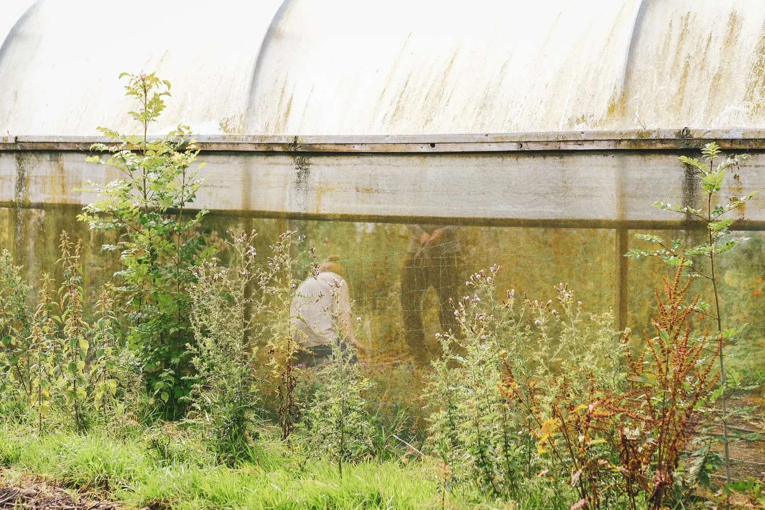 The Ranges I Know — Ideal Day Family Brewery on Crocadon Farm, Cornwall ...