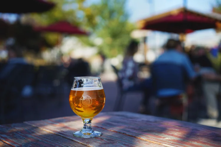 The Essential Guide to IPA — Pellicle