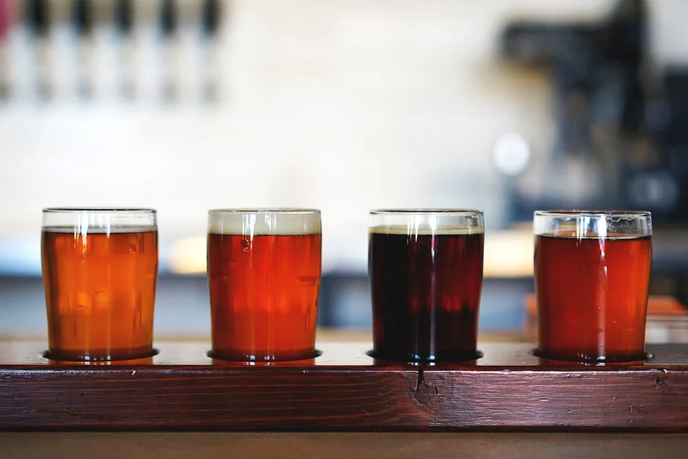 The Essential Guide to IPA — Pellicle