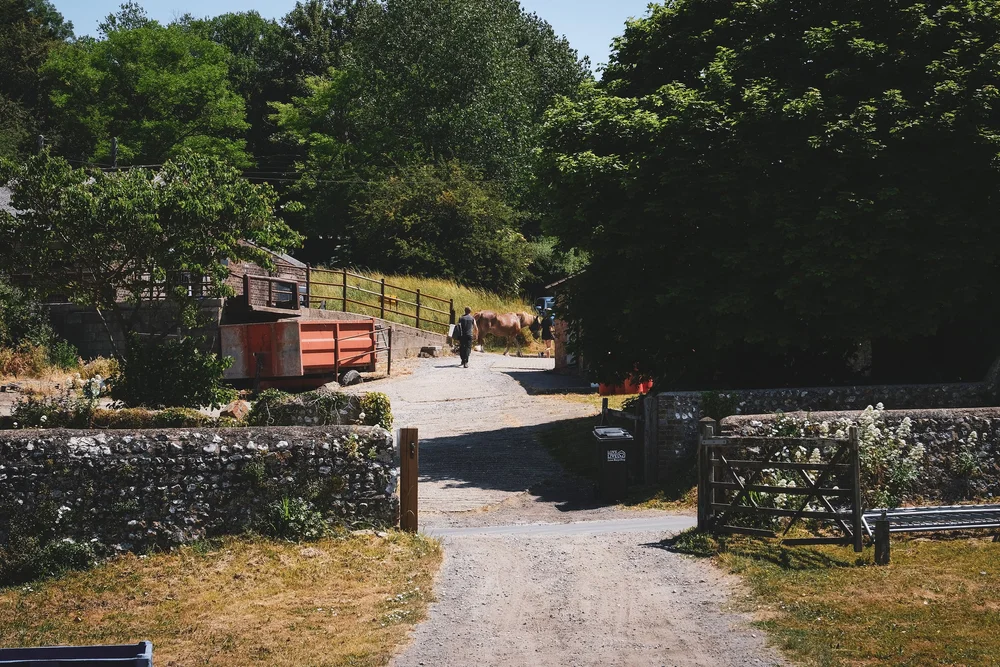 Soil To The Sun — Long Man Brewery’s Regenerative Agriculture in ...