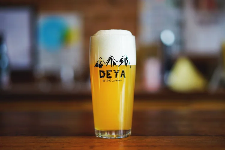 The Essential Guide to IPA — Pellicle