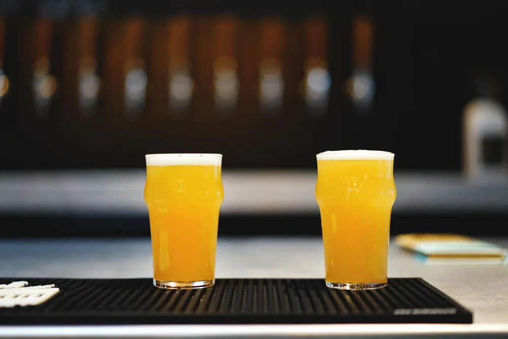 The Essential Guide to IPA — Pellicle