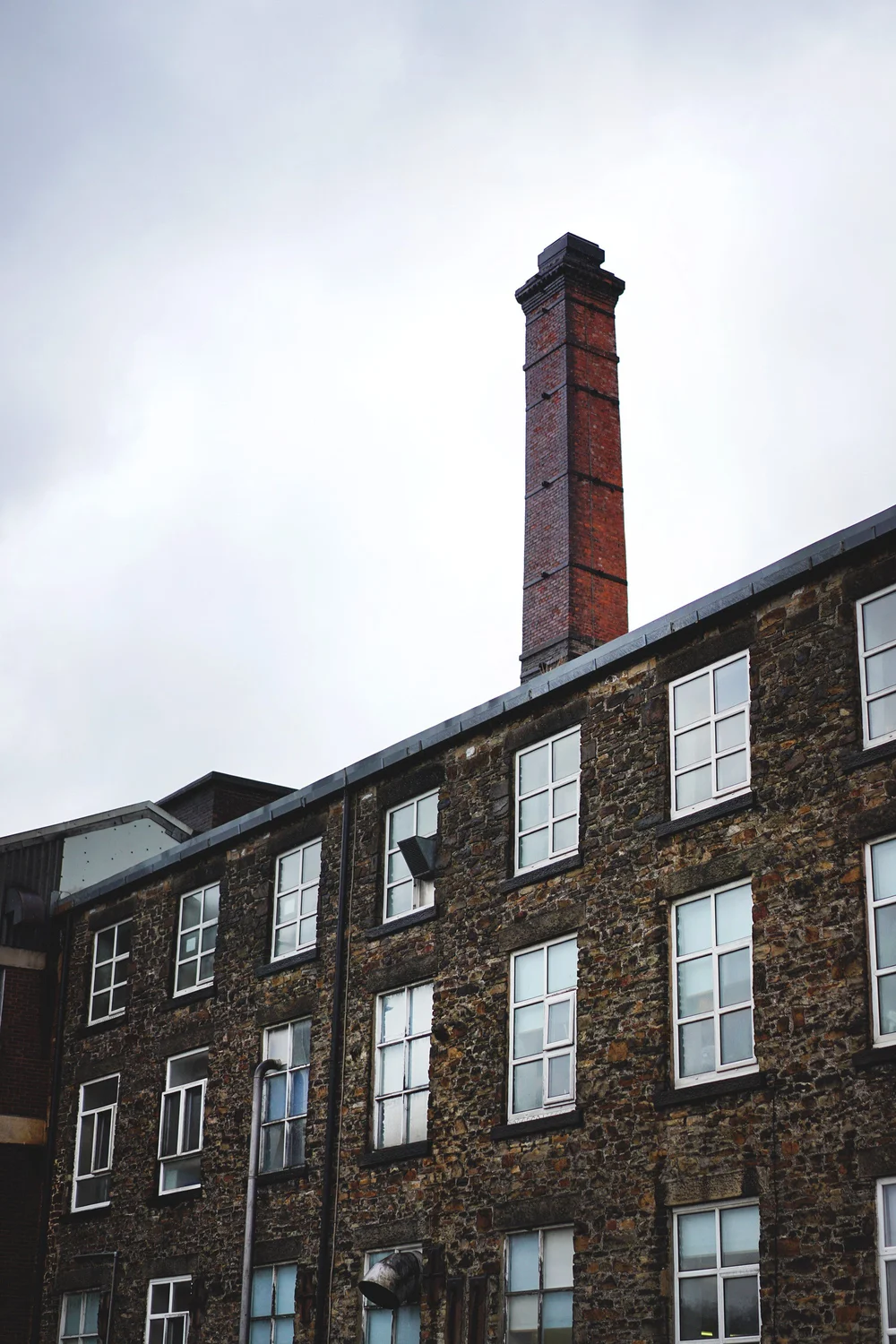 Anon, A Giant Monster Roams — Torrside Brewery in New Mills, Derbyshire — Pellicle