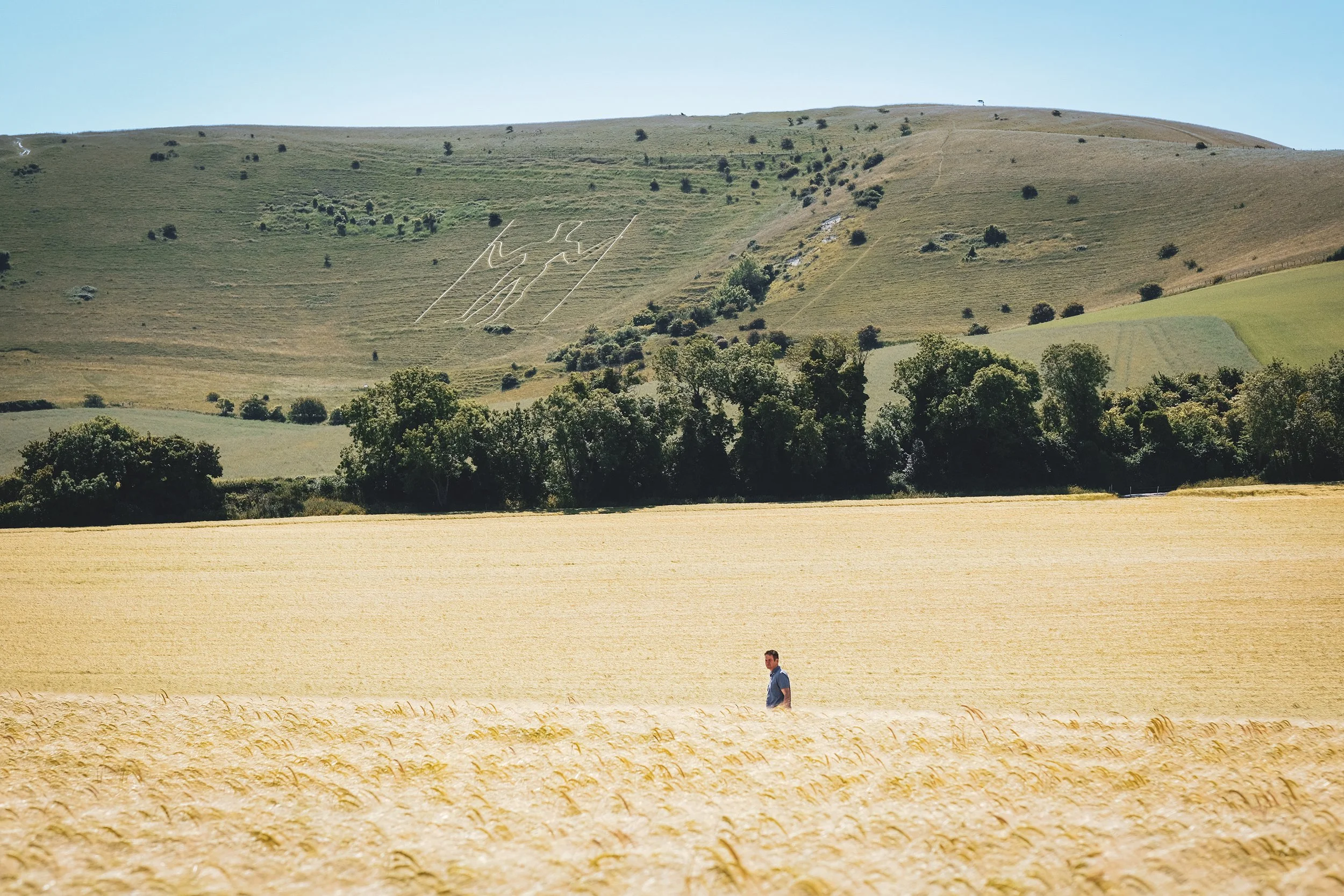 Soil To The Sun — Long Man Brewery’s Regenerative Agriculture in ...