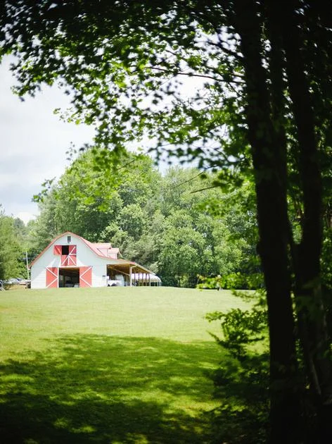 Gallery — Seven Maples