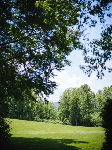 Gallery — Seven Maples