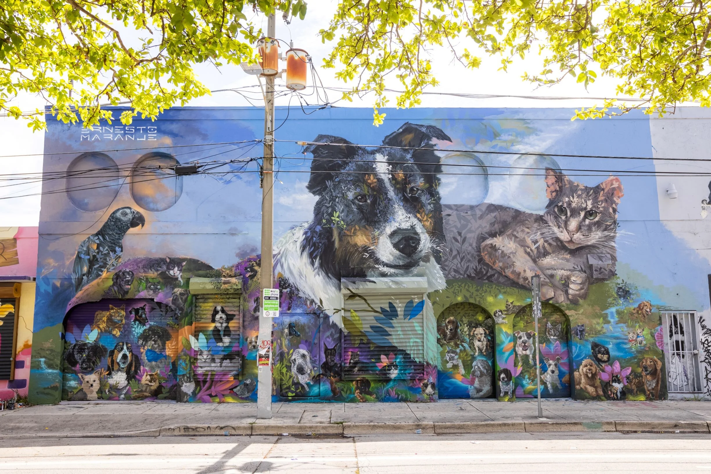 Pet Mural for Cheyw in Wynwood, Miami, Florida by Ernesto Maranje ...