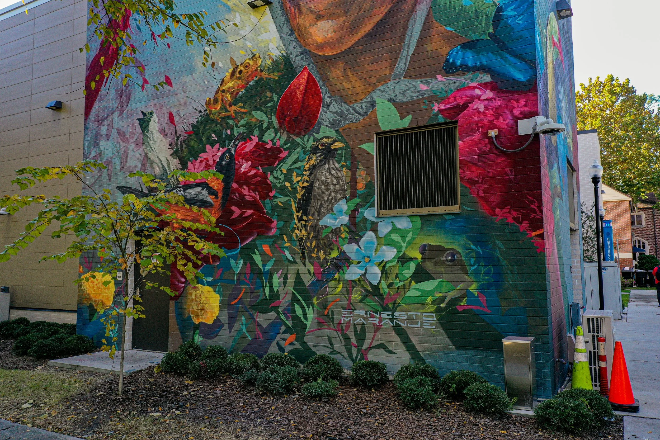 La Casita Mural for UF in Gainesville, Florida by Ernesto Maranje ...