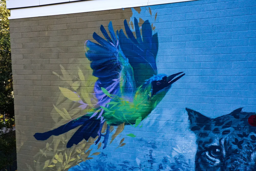 La Casita Mural for UF in Gainesville, Florida by Ernesto Maranje ...