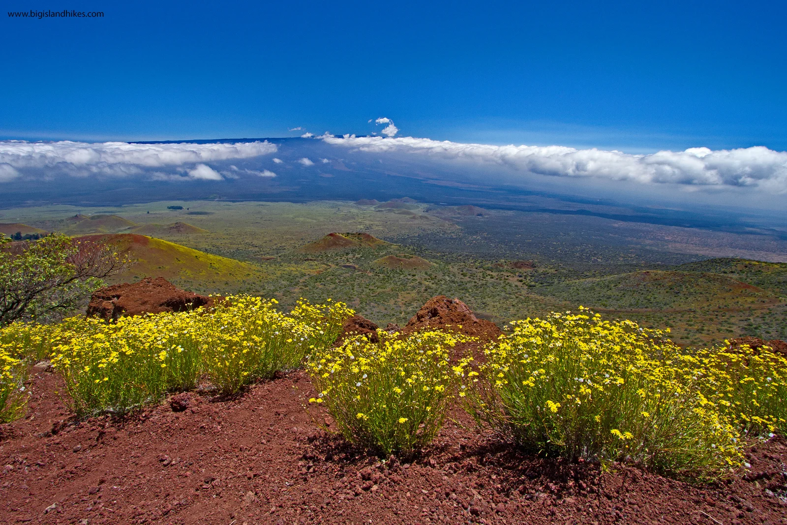 Pu'u Kalepeamoa — Big Island Hikes