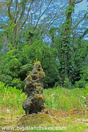 Lava Tree State Monument — Big Island Hikes